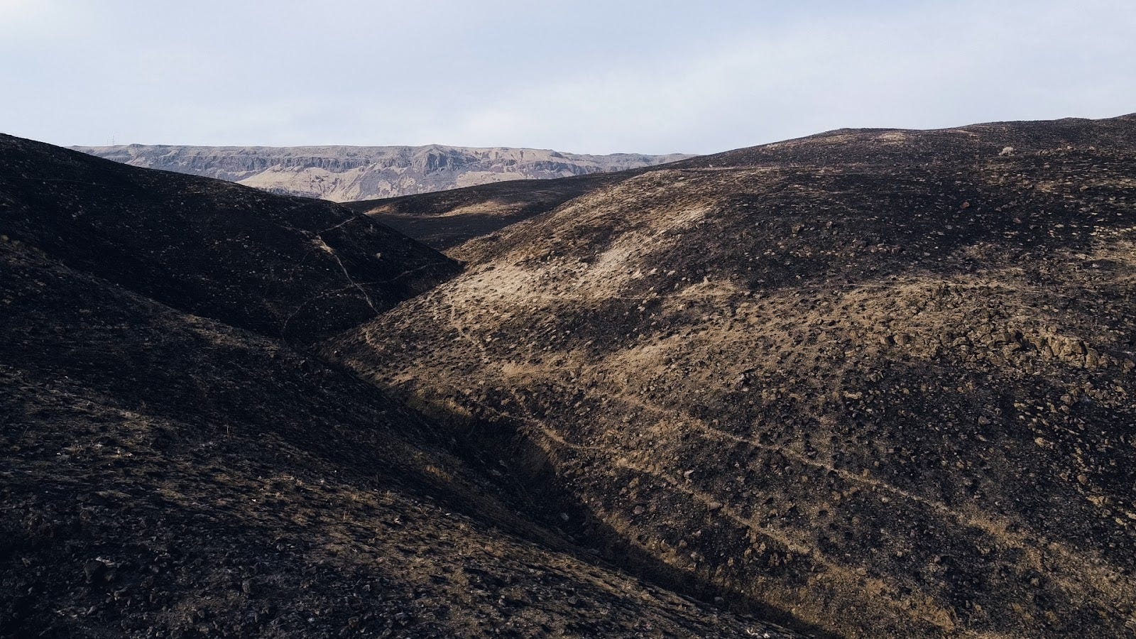 Revolving Door Project | Fox News Doesn’t Like Us Pointing Out ...